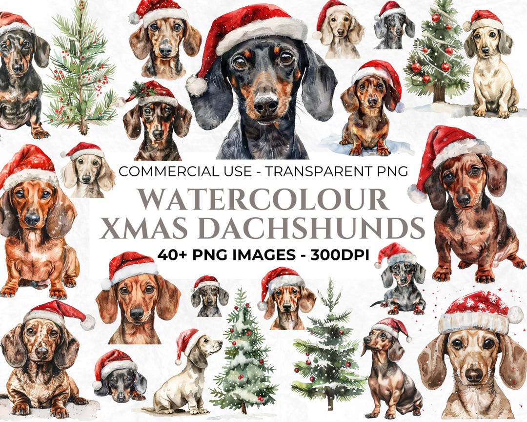 Miniature Dachshunds Christmas PNG Clipart, Watercolour Sausage Dog ...