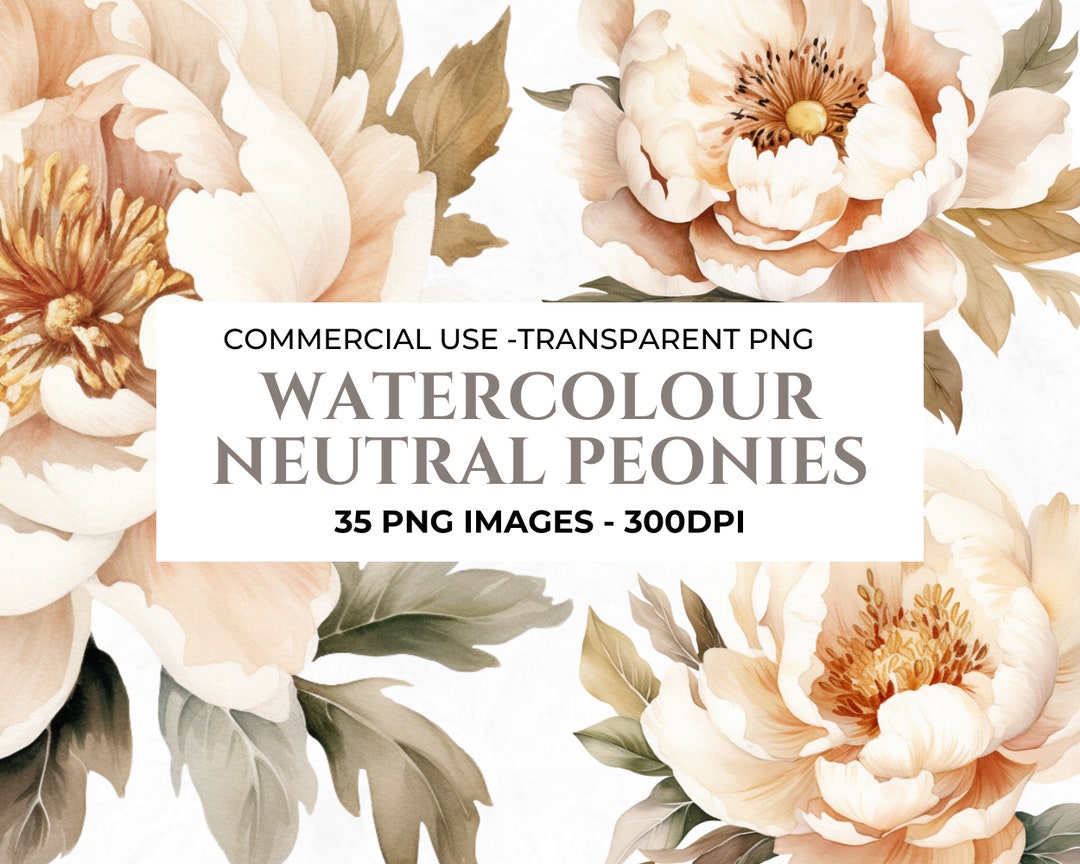 35 Watercolour Peonies, Flowers Clipart Pack, Spring Clipart, Peony PNG ...