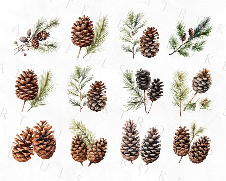 40 Watercolour Pine Cones Clipart, Christmas Clipart Bundle, Winter PNG ...