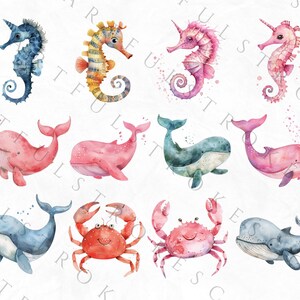50 Watercolour Under the Sea Clipart, Baby Sea Creatures, Ocean Animals ...