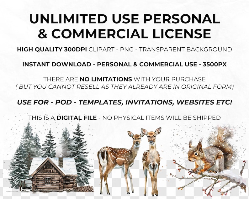 Christmas Woodland Clipart, Forest Animals, Winter PNG, Branches PNG ...