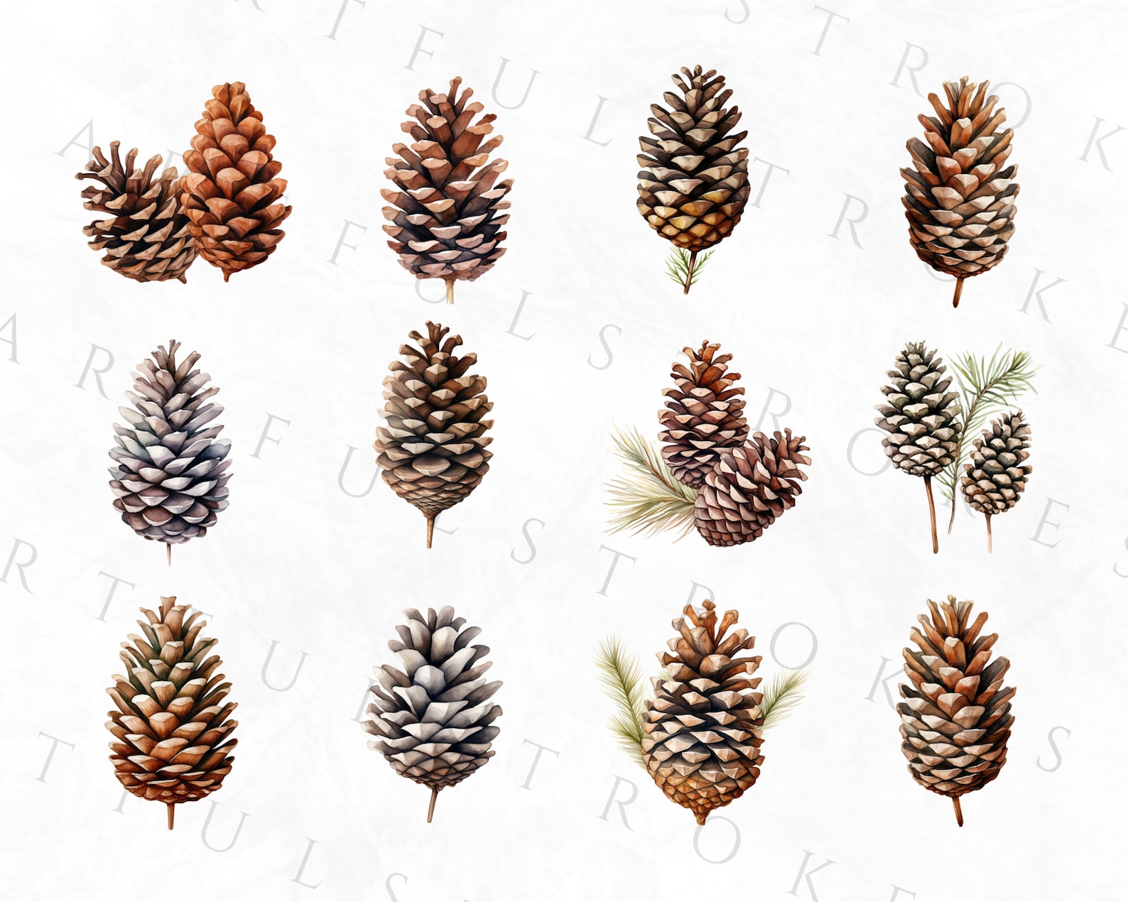 40 Watercolour Pine Cones Clipart, Christmas Clipart Bundle, Winter PNG ...
