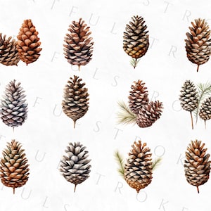 40 Watercolour Pine Cones Clipart, Christmas Clipart Bundle, Winter PNG ...