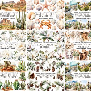 Watercolour Clipart Bundle, Full Store Lifetime Access, High Quality ...