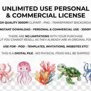 50 Watercolour Under the Sea Clipart, Baby Sea Creatures, Ocean Animals ...