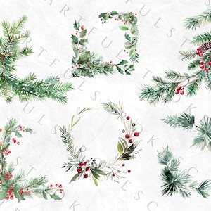 50 Watercolour Christmas Botanical Clipart, Winter PNG, Pine Cones ...