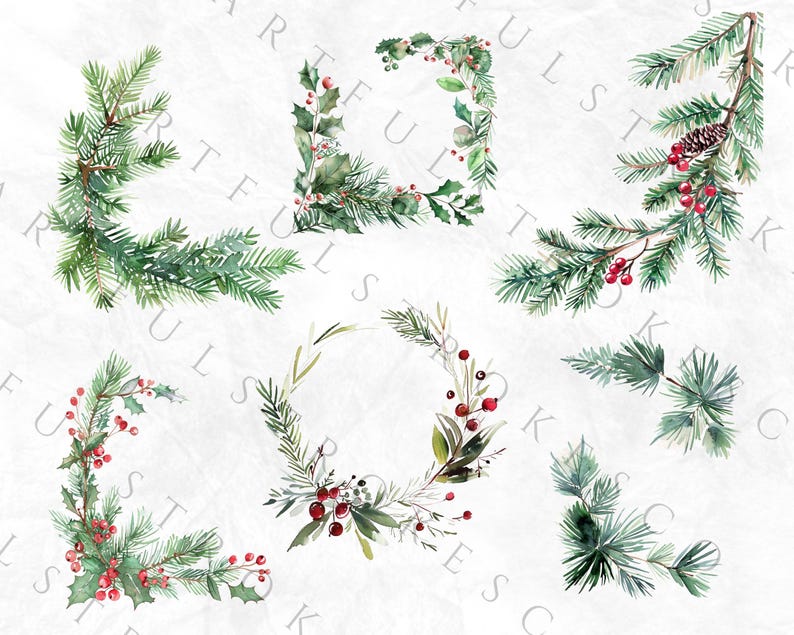 50 Watercolour Christmas Botanical Clipart, Winter PNG, Pine Cones ...