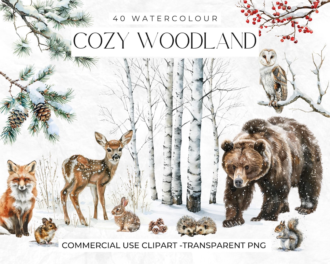 Christmas Woodland Clipart, Forest Animals, Winter PNG, Branches PNG ...