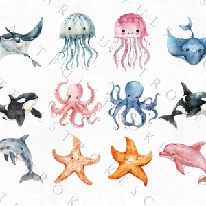 50 Watercolour Under the Sea Clipart, Baby Sea Creatures, Ocean Animals ...