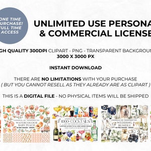 Watercolour Clipart Bundle, Full Store Lifetime Access, High Quality ...