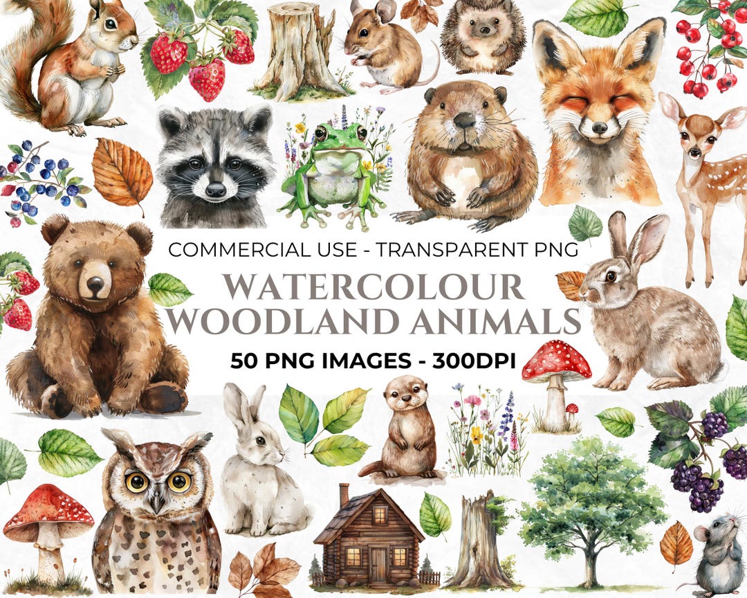 50 Watercolour Woodland Animals Clipart, Baby Woodland Animals, Baby ...