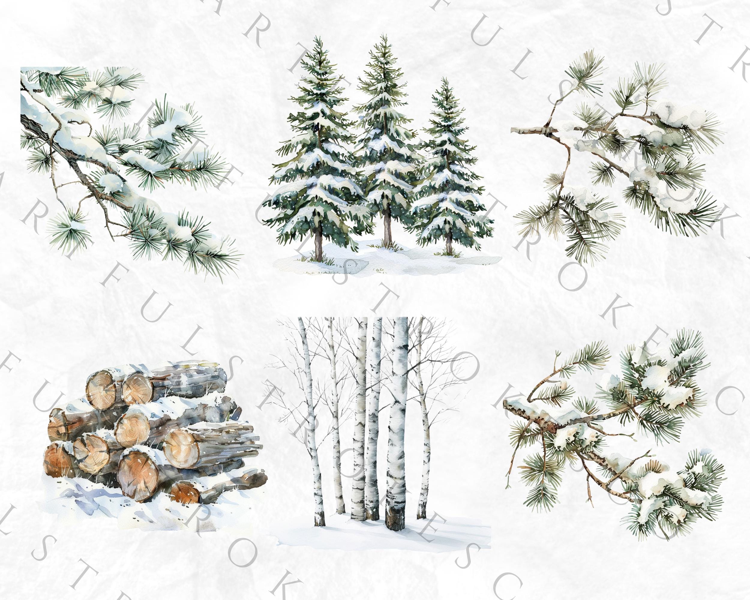 Christmas Woodland Clipart, Forest Animals, Winter PNG, Branches PNG ...