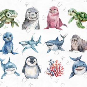 50 Watercolour Under the Sea Clipart, Baby Sea Creatures, Ocean Animals ...
