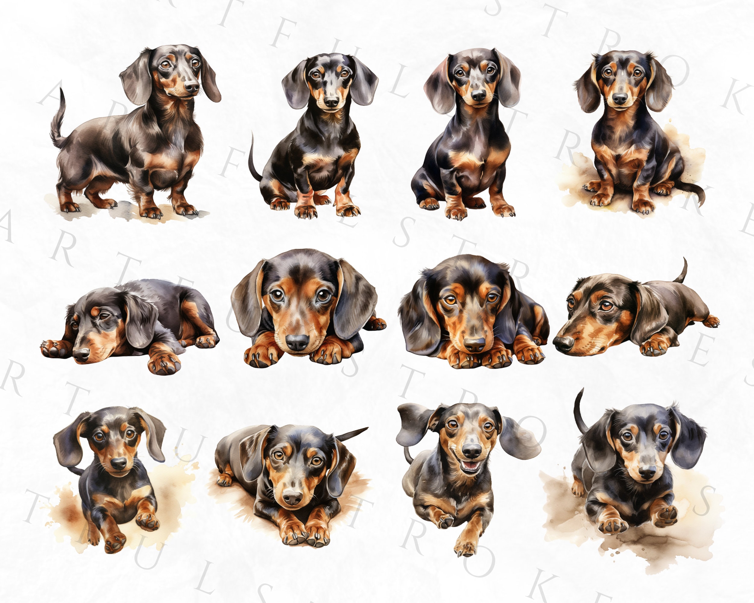 75 Watercolour Miniature Dachshund PNG Clipart, Watercolour Puppy ...