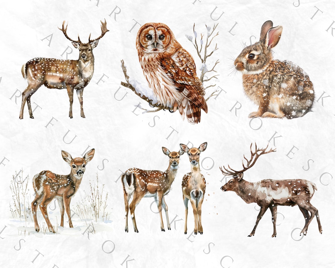 Christmas Woodland Clipart, Forest Animals, Winter PNG, Branches PNG ...