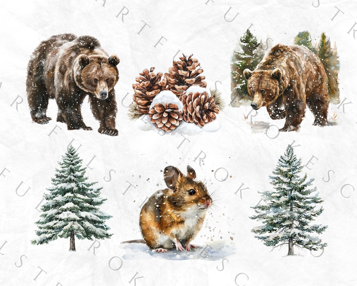 Christmas Woodland Clipart, Forest Animals, Winter PNG, Branches PNG ...
