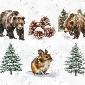 Christmas Woodland Clipart, Forest Animals, Winter PNG, Branches PNG ...