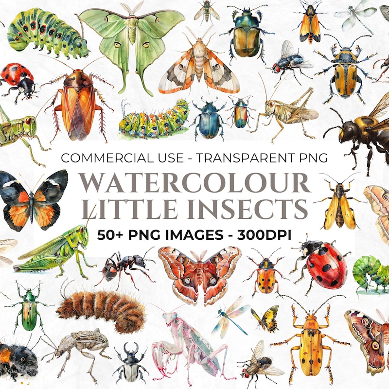 Insect Clipart - Etsy