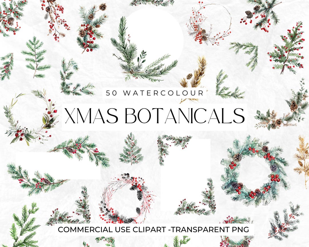 50 Watercolour Christmas Botanical Clipart, Winter PNG, Pine Cones ...