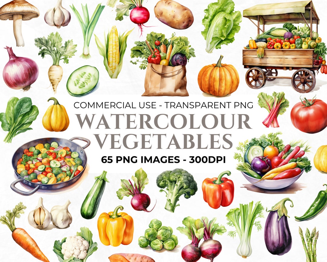 65 Watercolour Vegetable Clipart, Veg Clipart, Food PNG, Menu Clipart ...