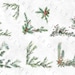 50 Watercolour Christmas Botanical Clipart, Winter PNG, Pine Cones ...