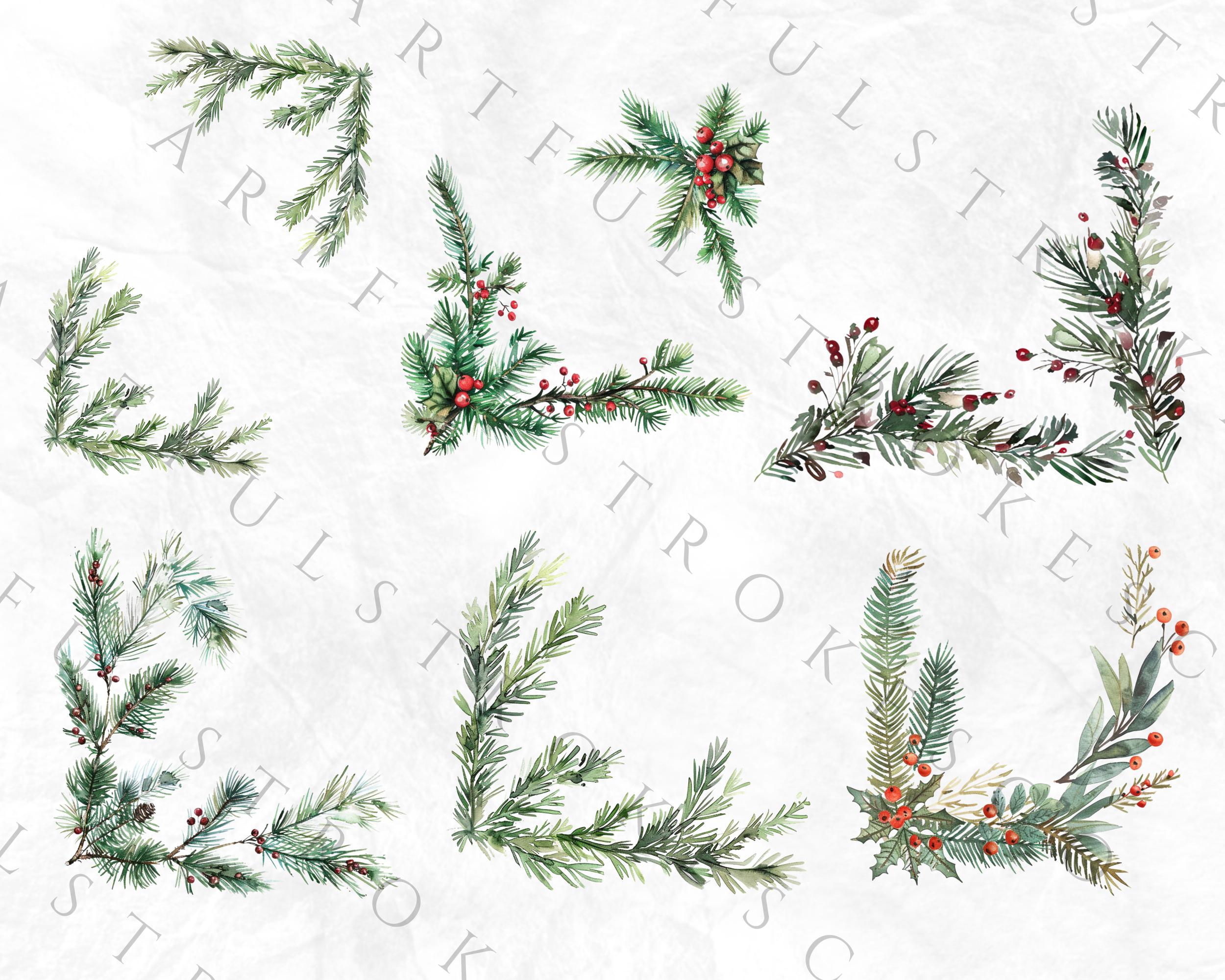 50 Watercolour Christmas Botanical Clipart, Winter PNG, Pine Cones ...