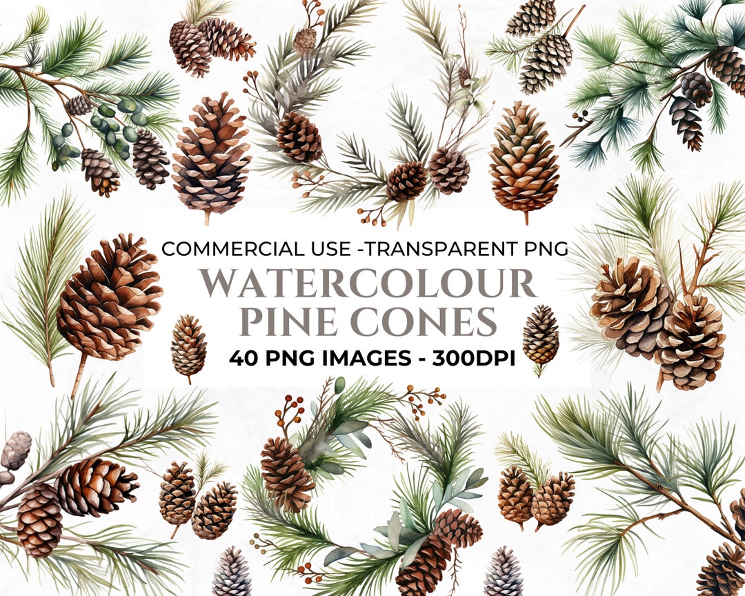 40 Watercolour Pine Cones Clipart, Christmas Clipart Bundle, Winter PNG ...