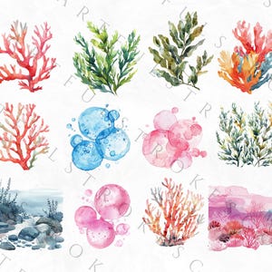 50 Watercolour Under the Sea Clipart, Baby Sea Creatures, Ocean Animals ...
