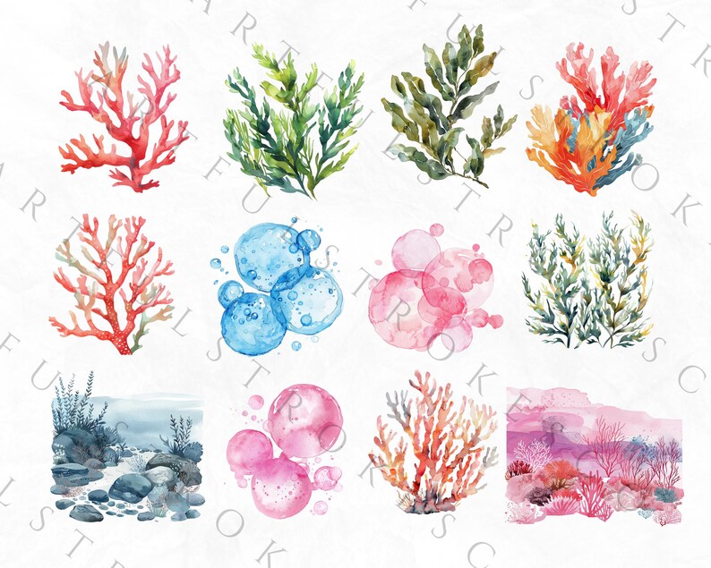 50 Watercolour Under the Sea Clipart, Baby Sea Creatures, Ocean Animals ...