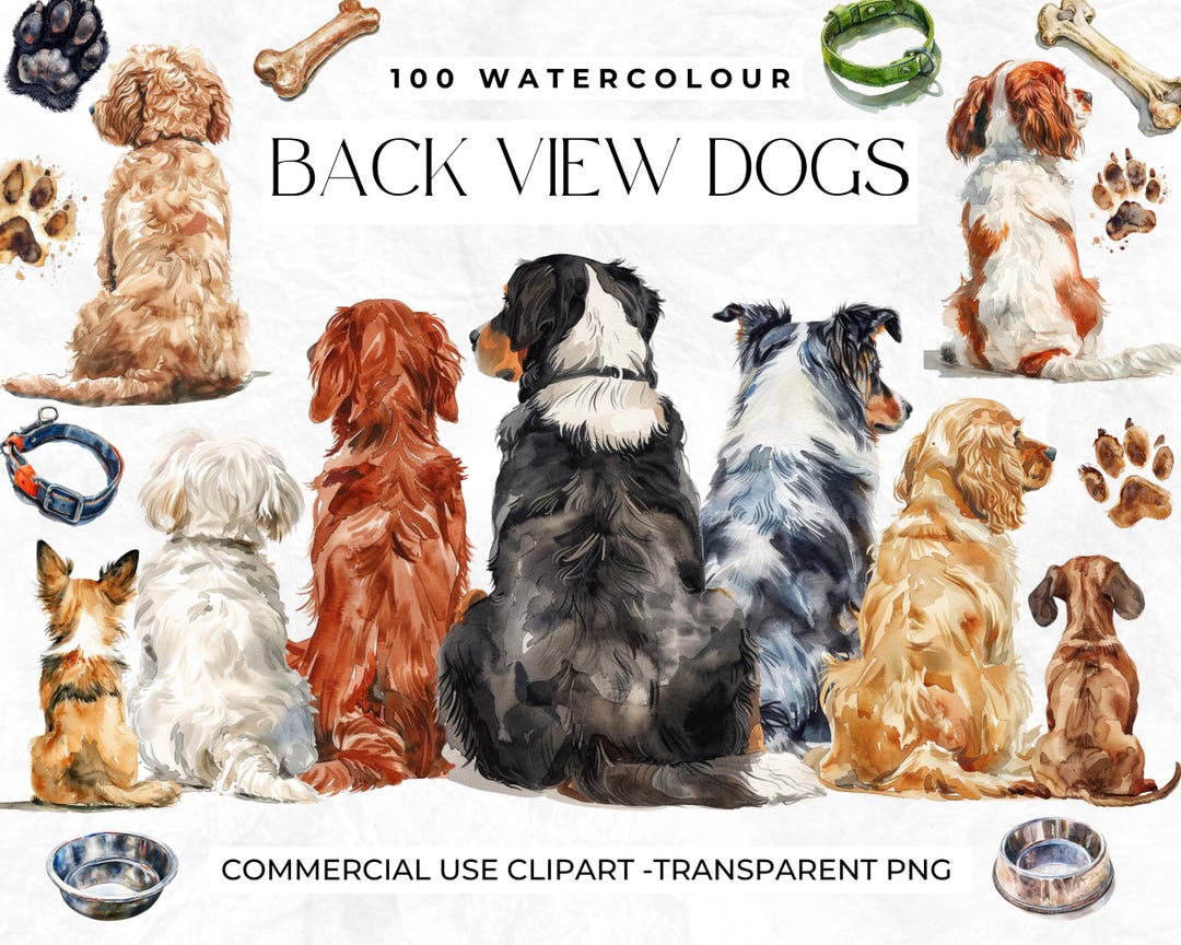 Watercolour Dogs Clipart, Back View Dog PNG, Dog Breeds, Dachshund ...