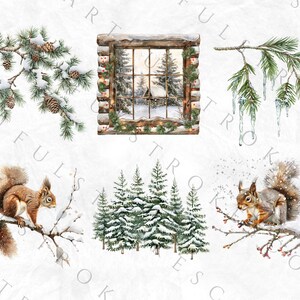 Watercolour Christmas Woodland Clipart, Forest Animals, Winter PNG ...