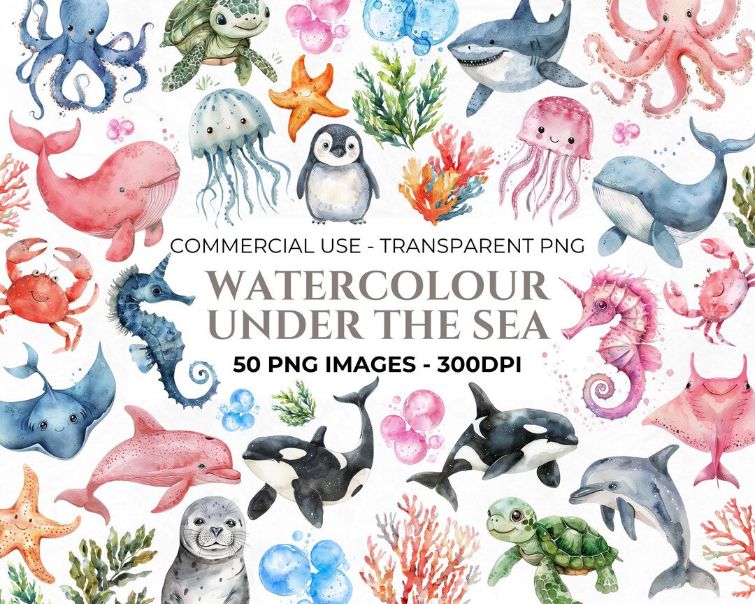 50 Watercolour Under the Sea Clipart, Baby Sea Creatures, Ocean Animals ...