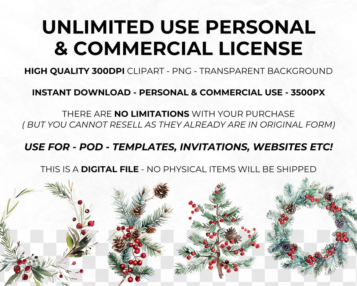 50 Watercolour Christmas Botanical Clipart, Winter PNG, Pine Cones ...