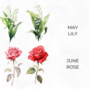 24 Watercolour Birth Month Flowers Clipart, Birthday Clipart, Month ...