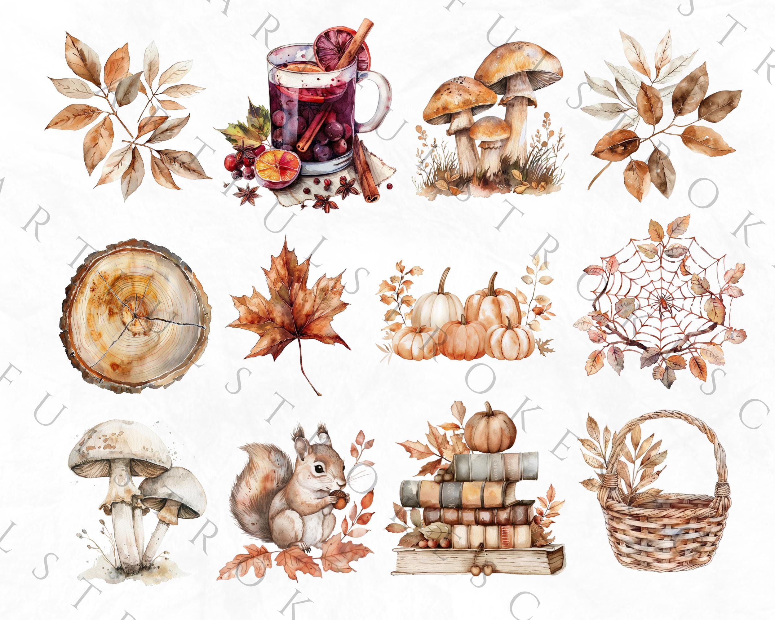 100 Watercolour Rustic Autumn Clipart, Fall Clipart, Cozy Autumn PNG ...