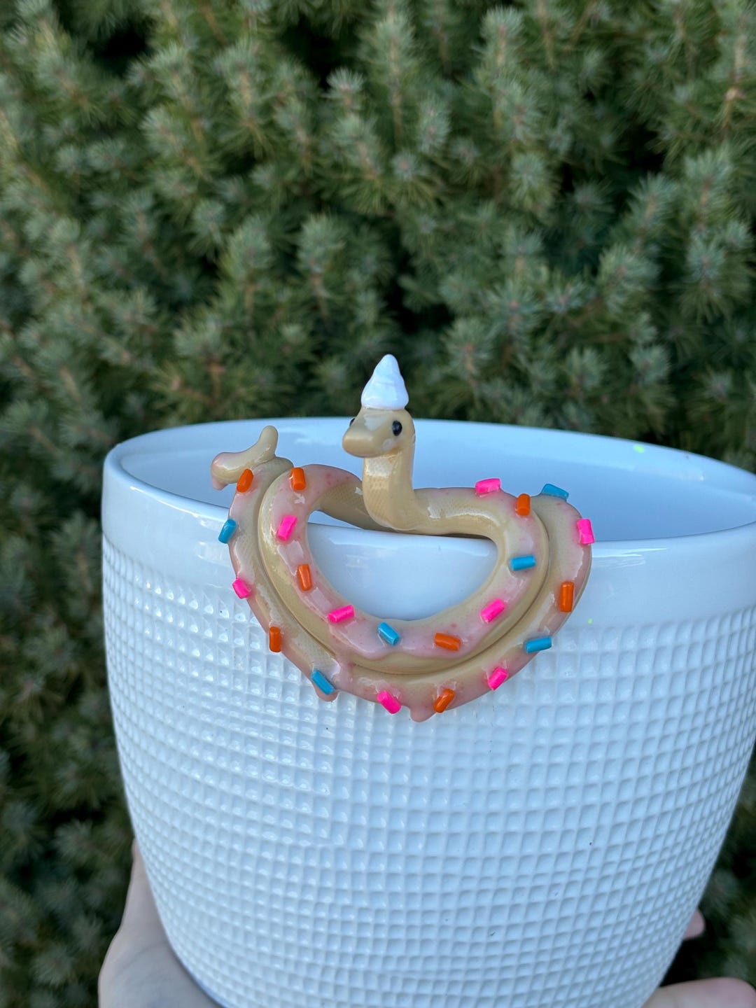 Pot Pal Donut Snake Reptile Planter Houseplants - Etsy