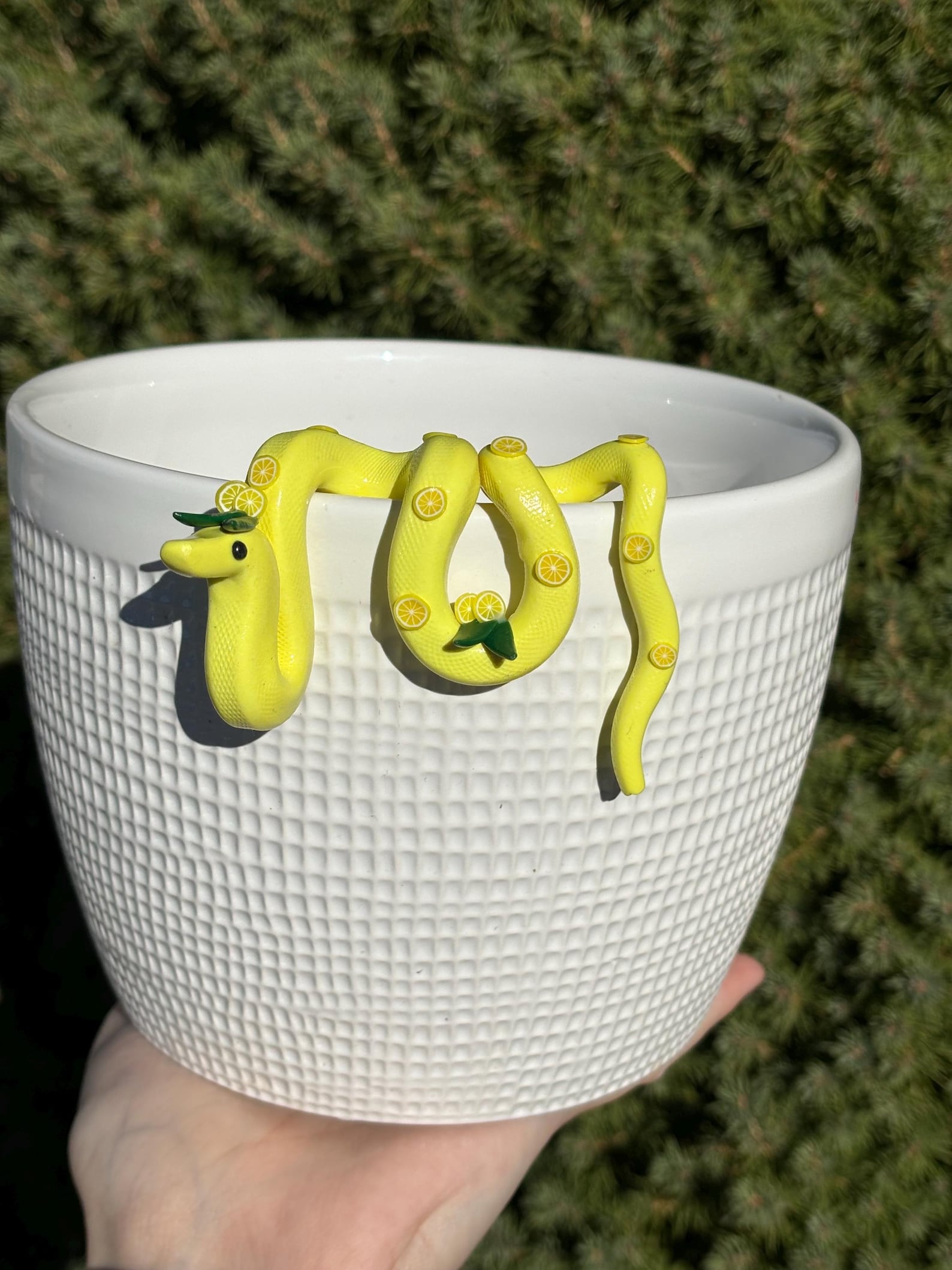 Lemon Snake Pot Perch - Plant Pot Decoration - Etsy