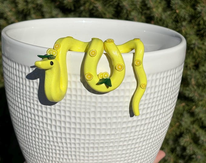 Cowboy Snake Plant Pal - Etsy