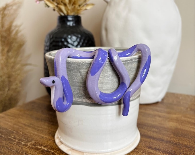 3D Printed Snake Plant Buddy – Cute Resin Planter Hugger for Succulents ...