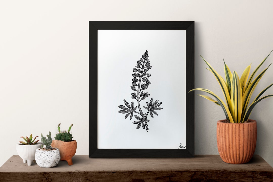 DIGITAL DOWNLOAD Southwestern Art Bluebonnets Line Art Black and White ...