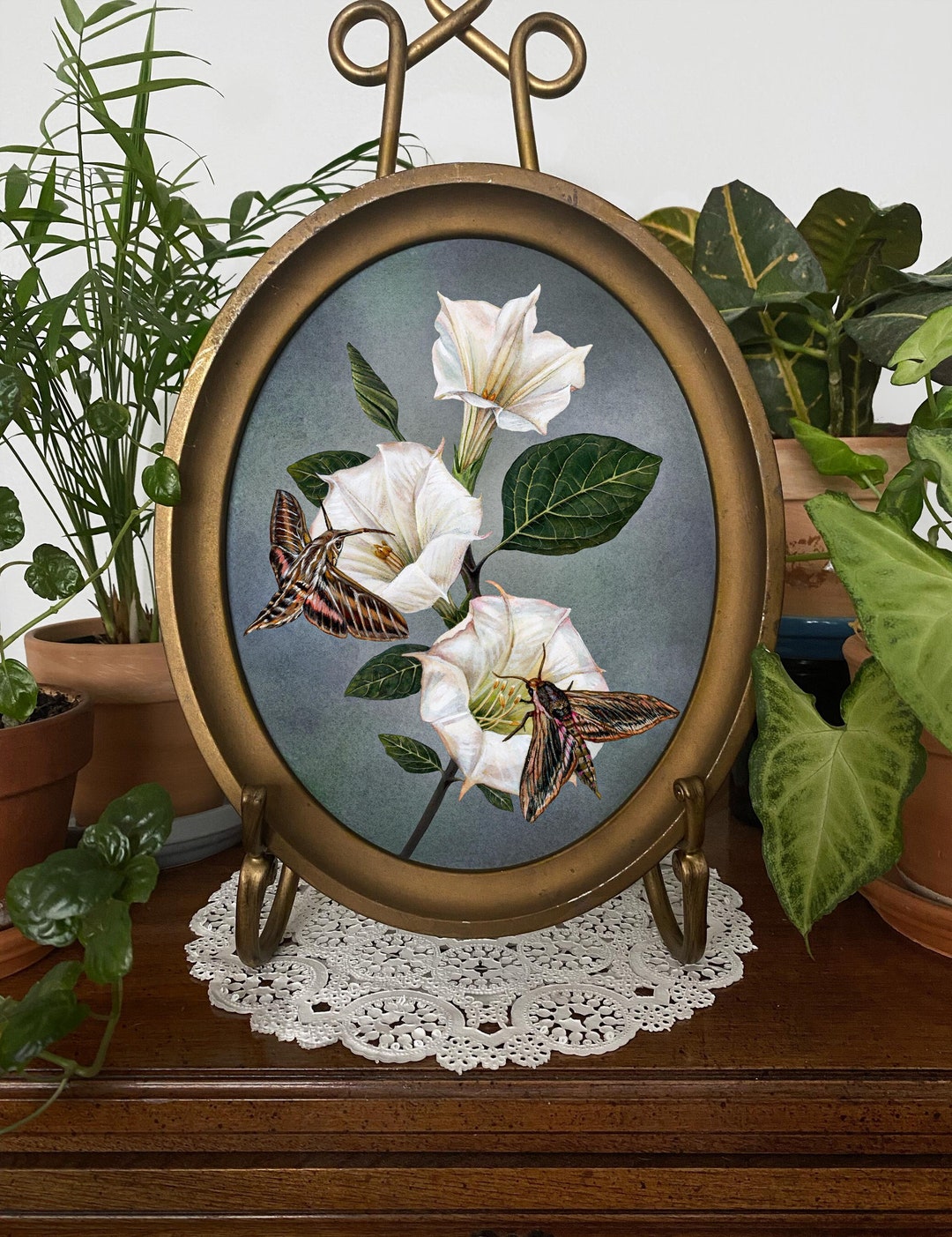 Moonflower With Hawk Moths Oval Watercolor Art Print - Etsy