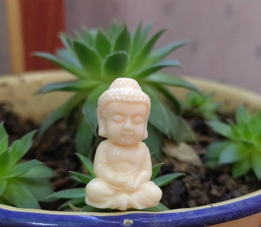 Get 2 Amitabha Amitayus Buddha Ivory Nut Hand Carved Natural - Etsy