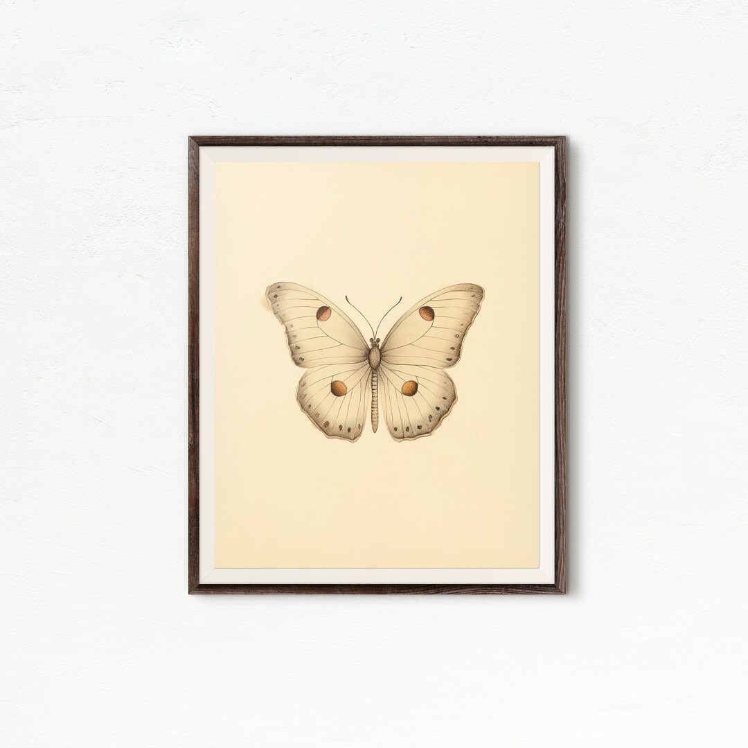 Vintage Butterfly Sketch, Vintage Nature Drawing, Antique Butterfly Art ...