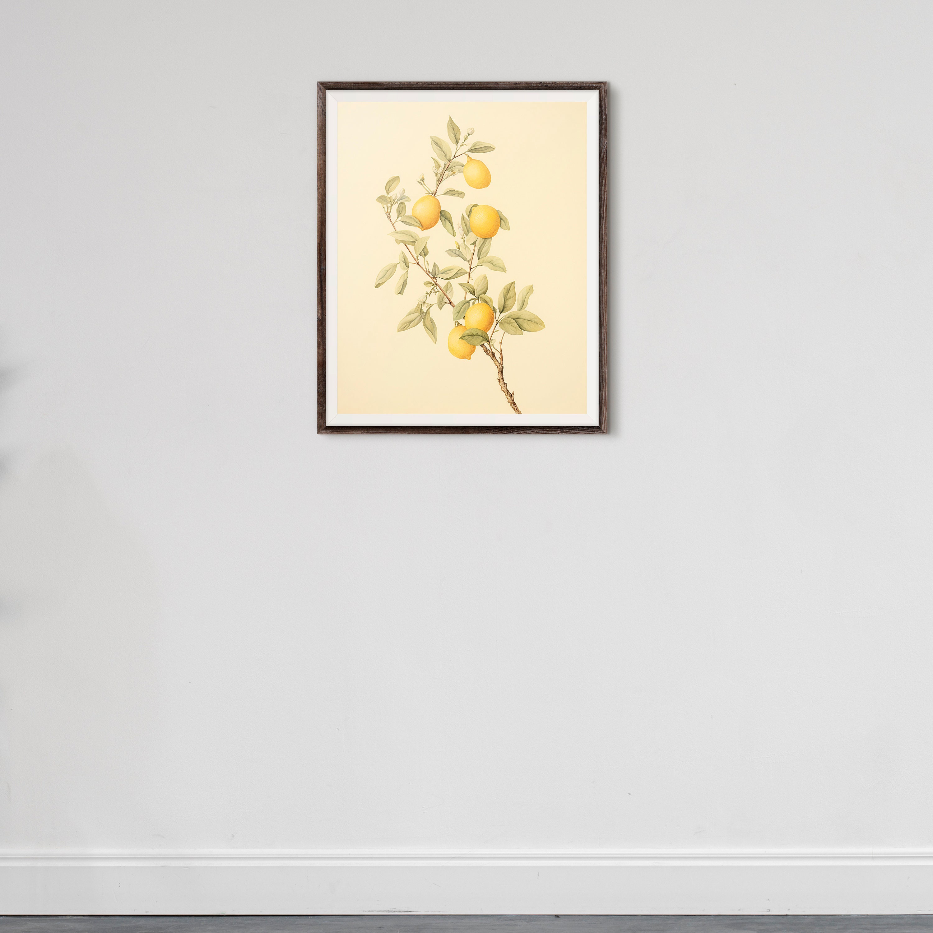 Lemon Botanical Drawing, Vintage Fruit Illustration, Wall Art Decor ...