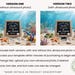 Under the Sea Ocean Beach Pregnancy Announcement, Seashells Sand Baby ...