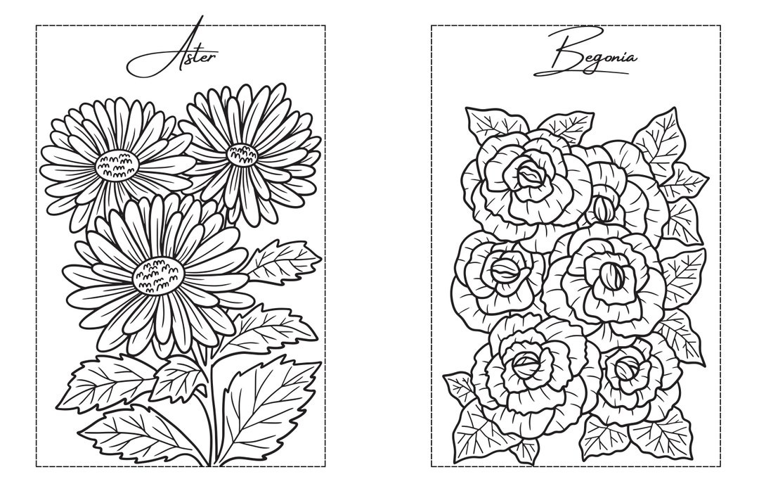 Minimalistic Flower Coloring Pages With Name for All Ages - Etsy