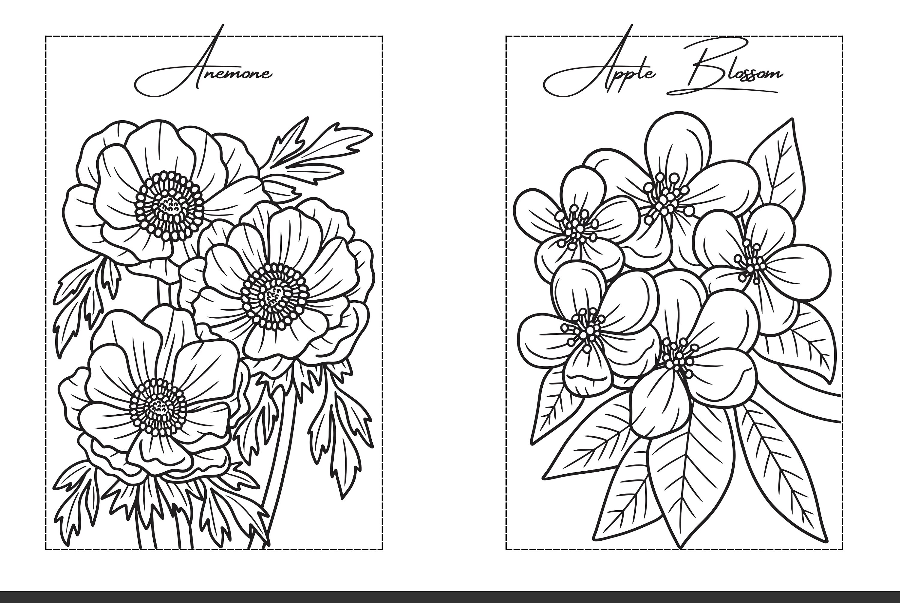 Minimalistic Flower Coloring Pages With Name for All Ages - Etsy