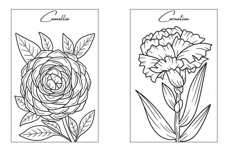 Minimalistic Flower Coloring Pages With Name for All Ages - Etsy
