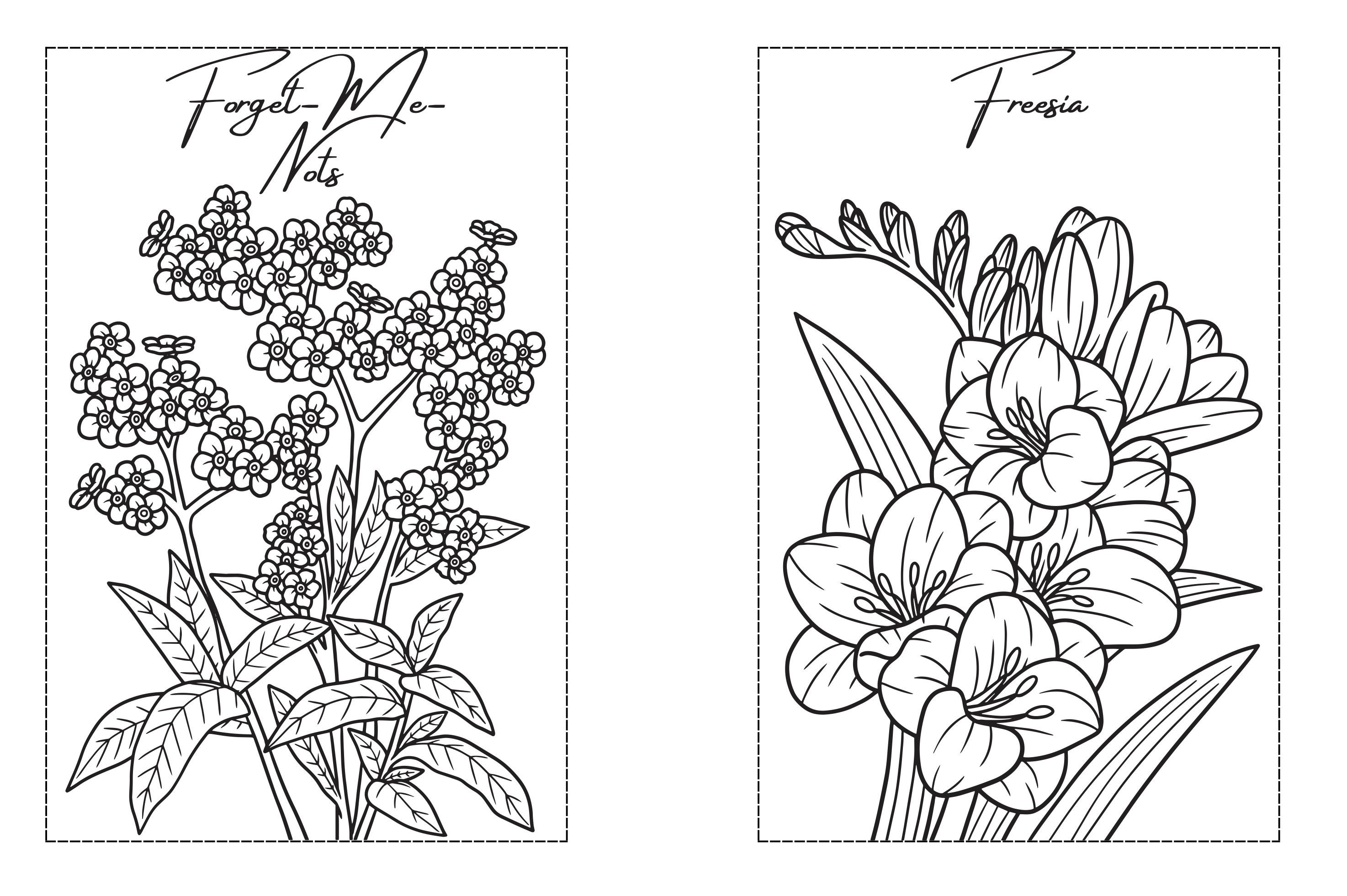 Minimalistic Flower Coloring Pages With Name for All Ages - Etsy