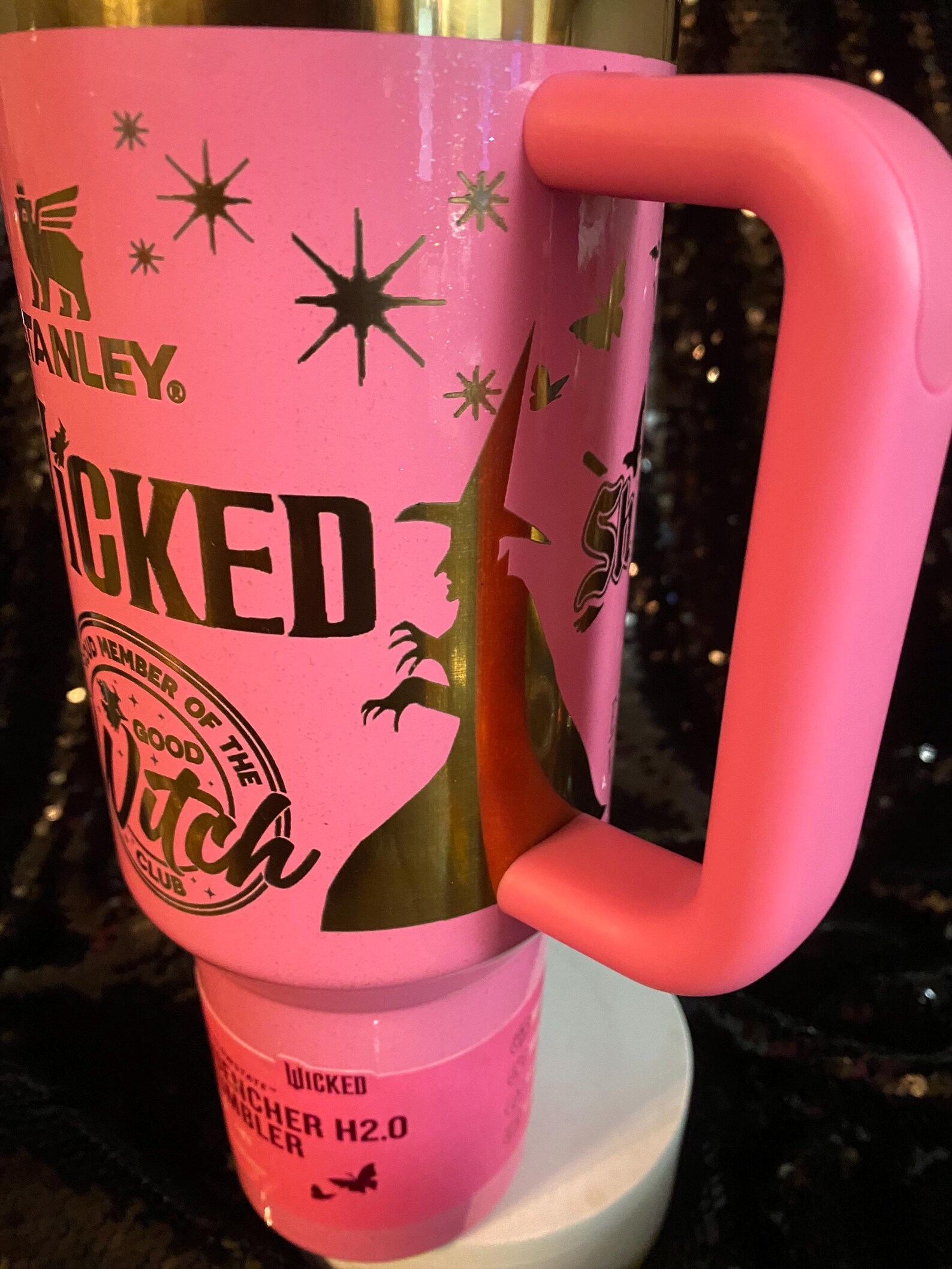 WICKED X STANLEY Collab 40 OZ Tumbler Customized Glinda Elphaba “this ...